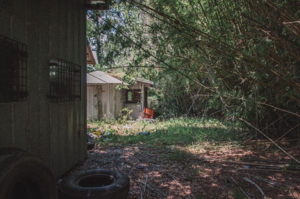 Strawn Citrus Packing House District | Abandoned Florida