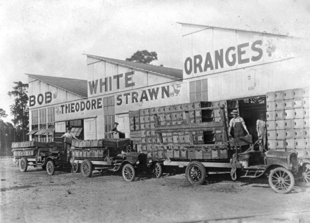 Strawn Citrus Packing House District | Abandoned Florida