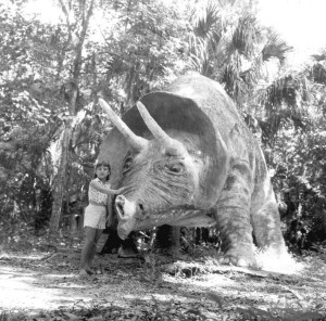 Bongoland | Abandoned Florida