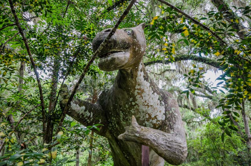 Bongoland | Abandoned Florida