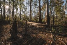 Bellamy Bridge & The Ghost Of Elizabeth Bellamy | 40+ Photos ...