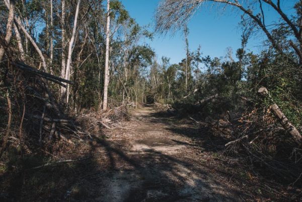 Bellamy Bridge & The Ghost Of Elizabeth Bellamy | 40+ Photos ...