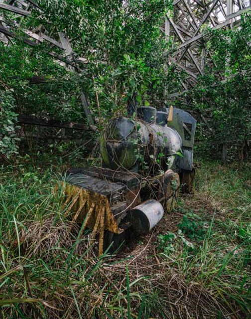 Dania Beach Hurricane & Boomers! Park | 40+ Photos | Abandoned Florida