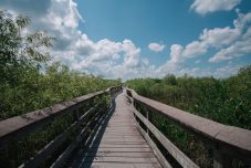 Chekika | Abandoned Florida