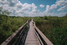 Chekika | Abandoned Florida