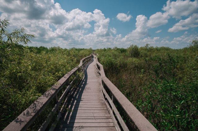 Chekika | Abandoned Florida
