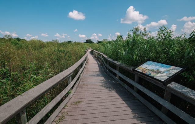 Chekika | Abandoned Florida