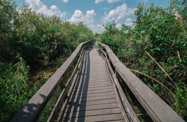 Chekika | Abandoned Florida