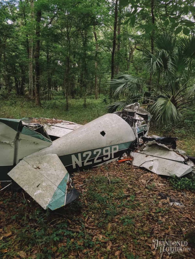 Theodore Weiss Plane Wreckage | Abandoned Florida